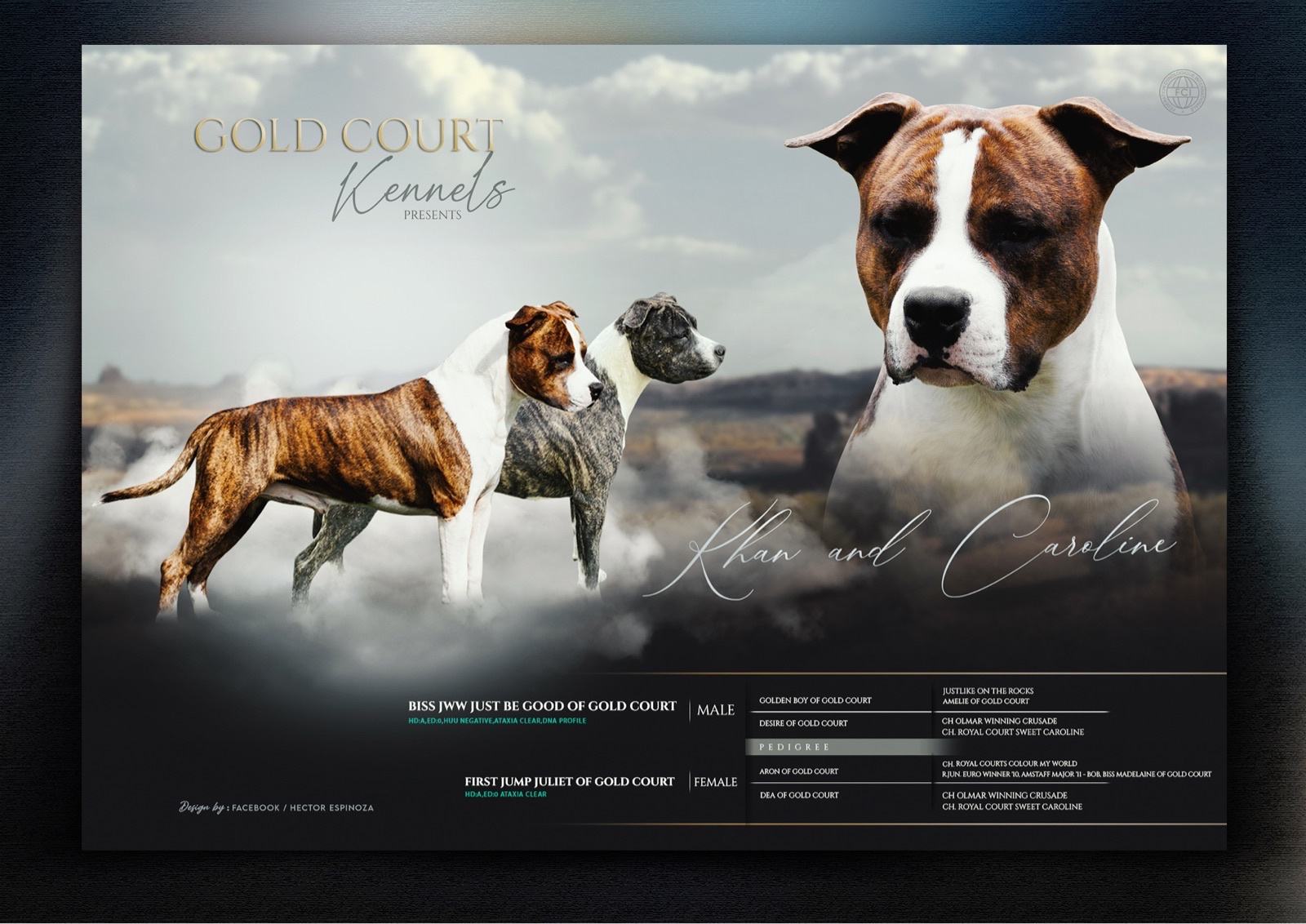 Americki Stafordski terijer Stenci(staford)