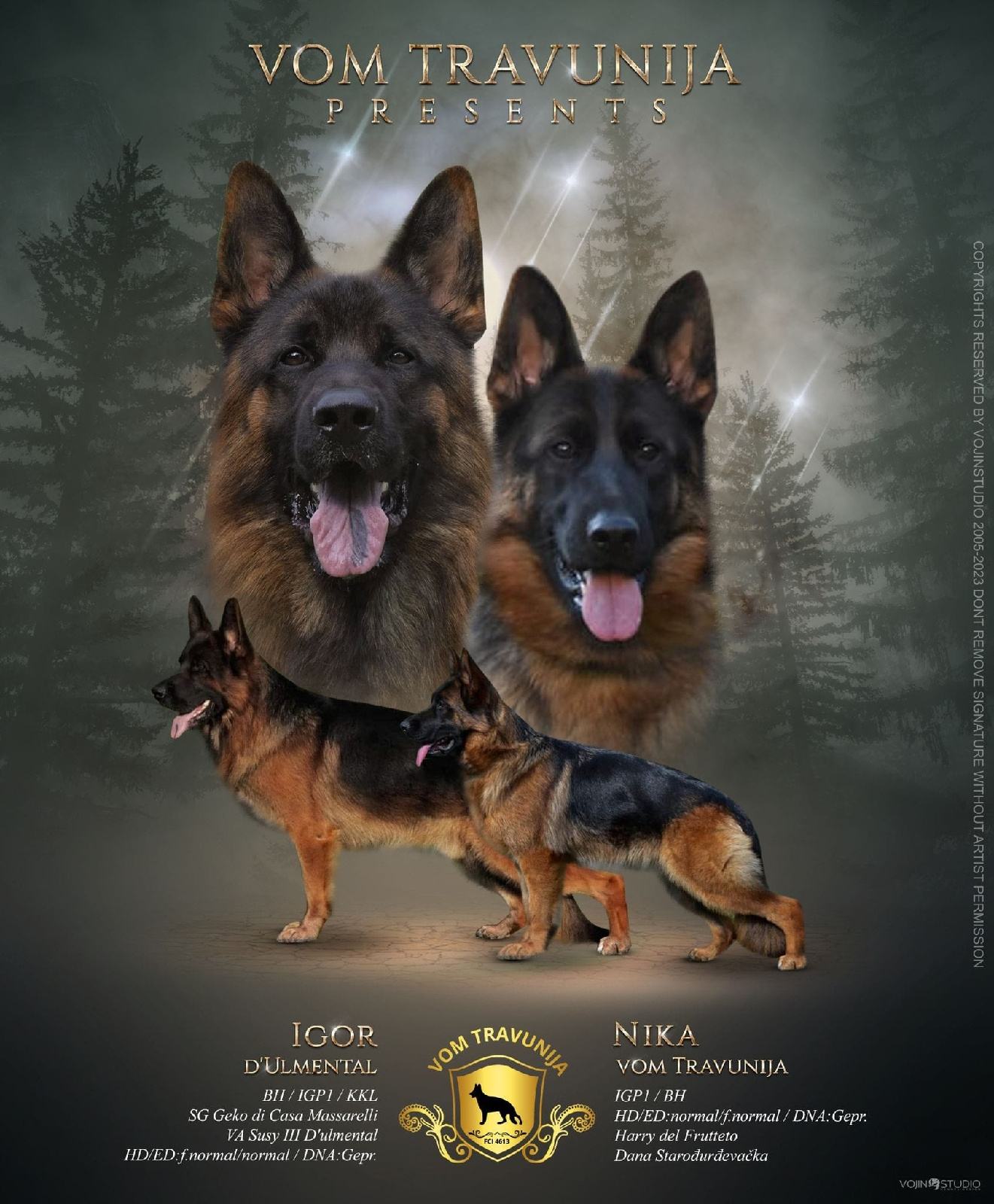 njemački ovčari stenci dugodlaki i kratkodlaki *DOSTAVA*