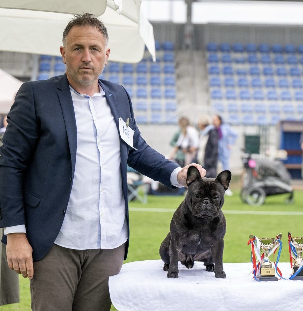 Francuski buldog štenci
