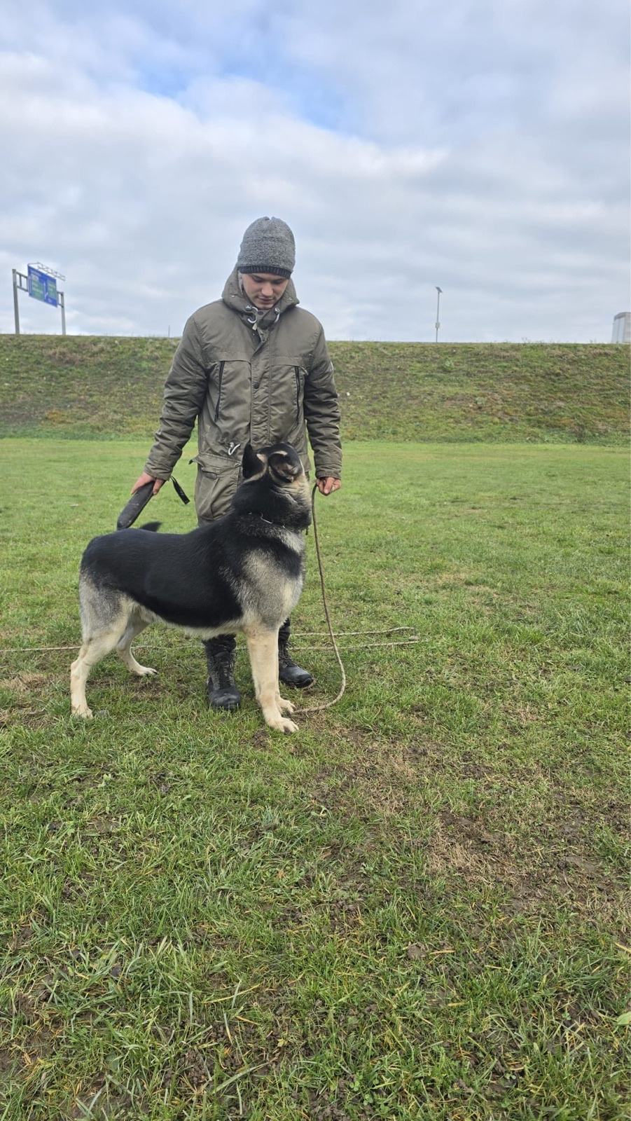 Pas čuvar njemacki ovcar DDR