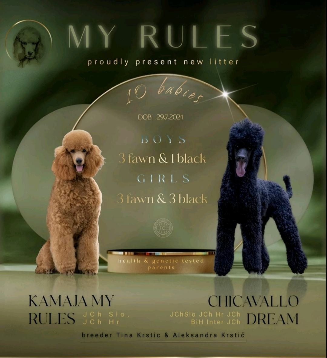 VELIKA-KRALJEVA PUDLA