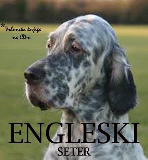 Engleski Seter knjiga na CD-u