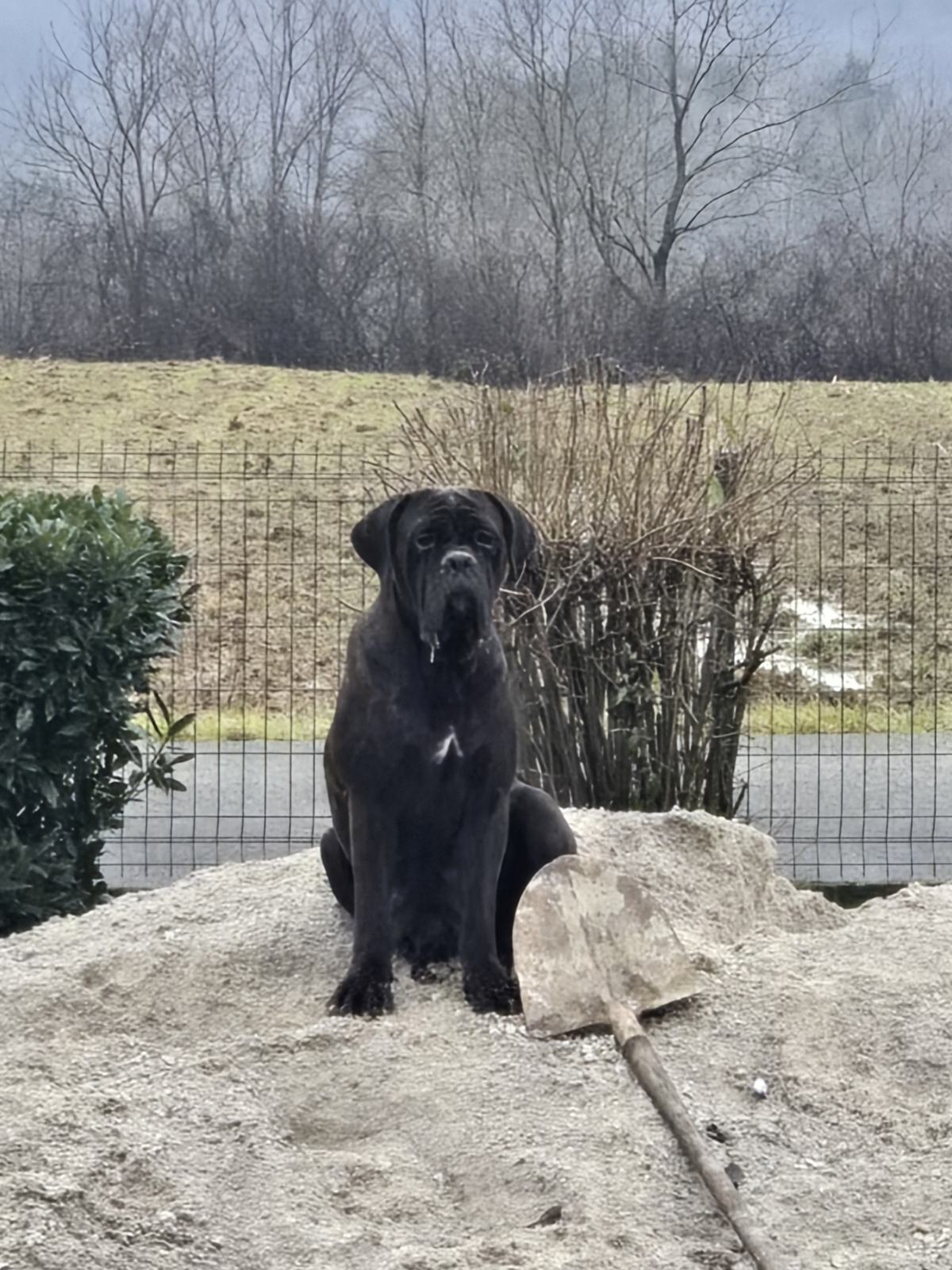 Prodajem stence čine corso