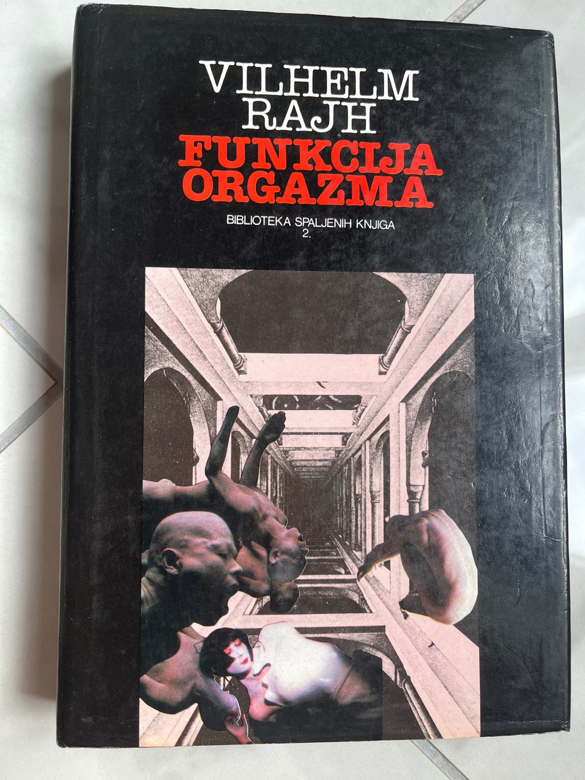 VILHELM RAJH, Funkcija orgazma