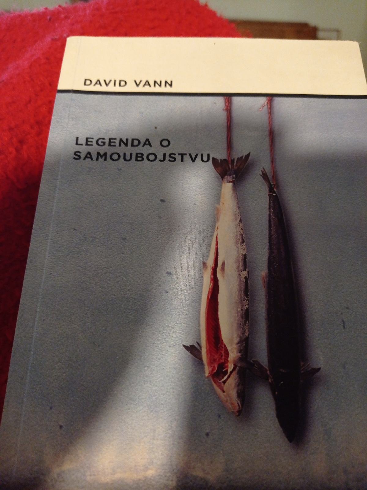 D.Vann Legenda o samoubojstvo