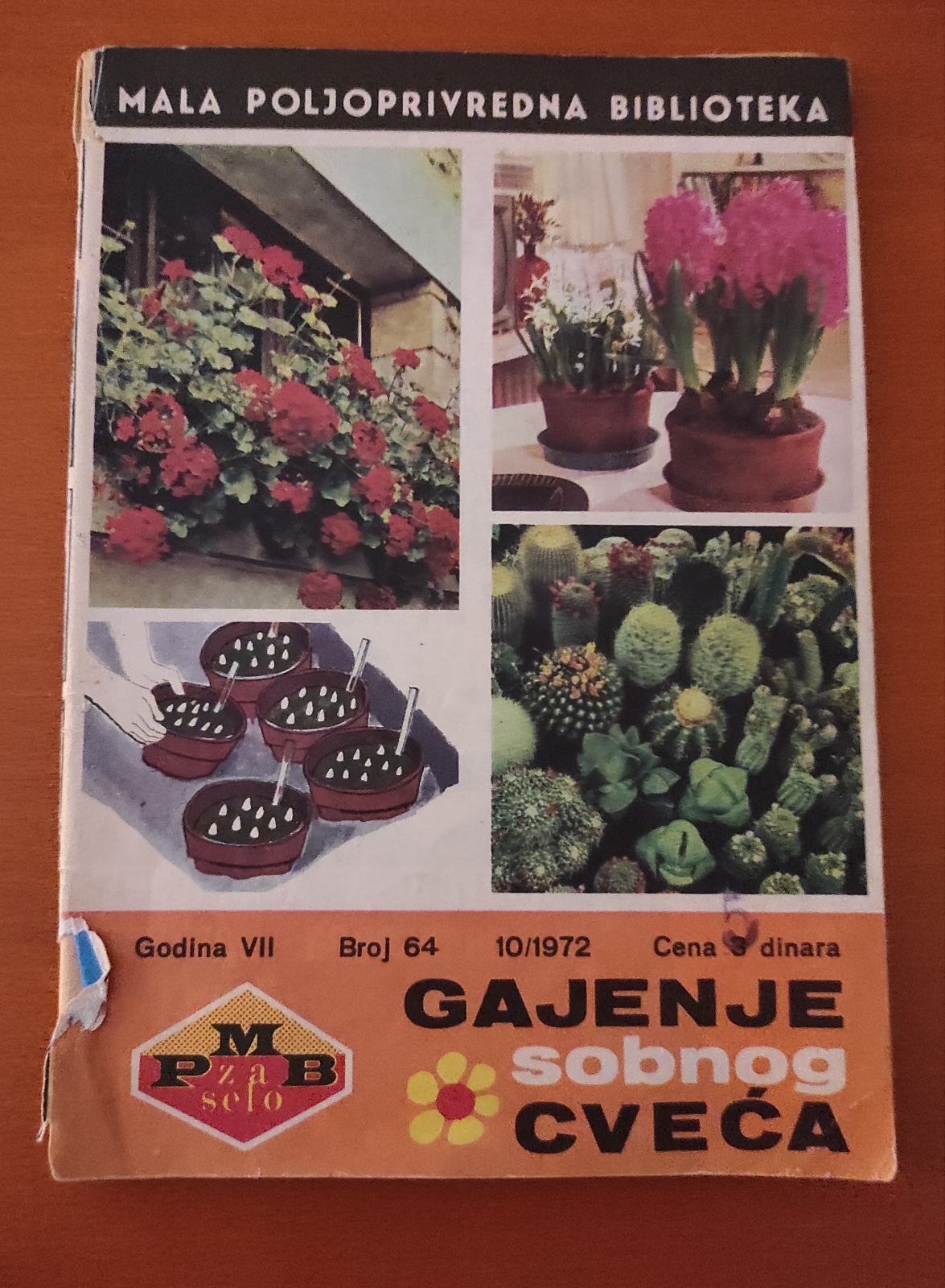 Gajenje sobnog cvijeća