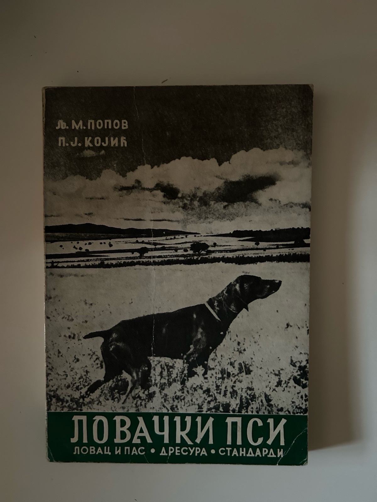 Popov,Kojić : Lovački psi - lovac i pas, dresura, standardi
