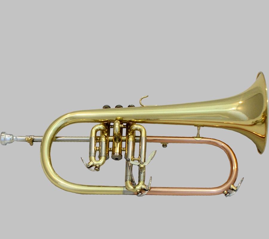 Krilnica CANORUS FH501