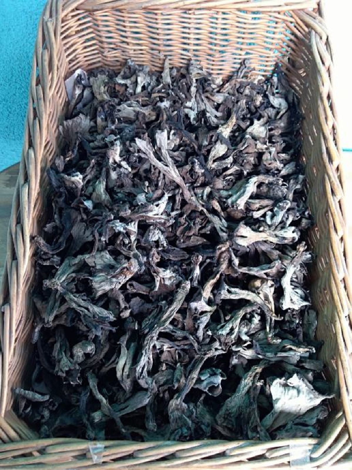 SUHA CRNA TRUBA 85 eura za kg