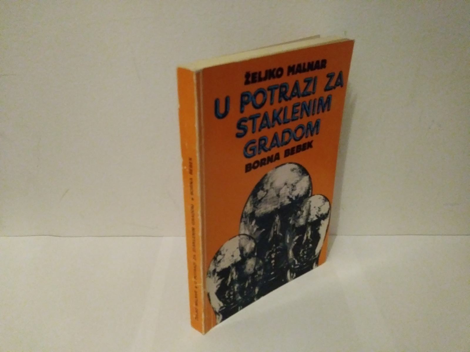 Knjiga U POTRAZI ZA STAKLENIM GRADOM, BORNA BEBEK & ŽELJKO MALNAR
