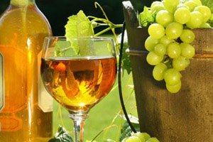 DOMAĆA RAKIJA LOZA s područja Imotskog