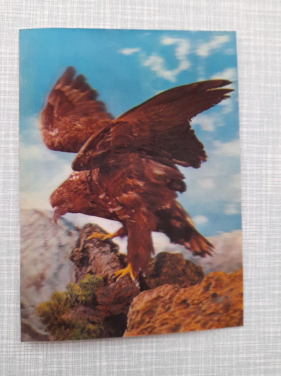 razglednica orla u 3d formatu iz 70-tih godina