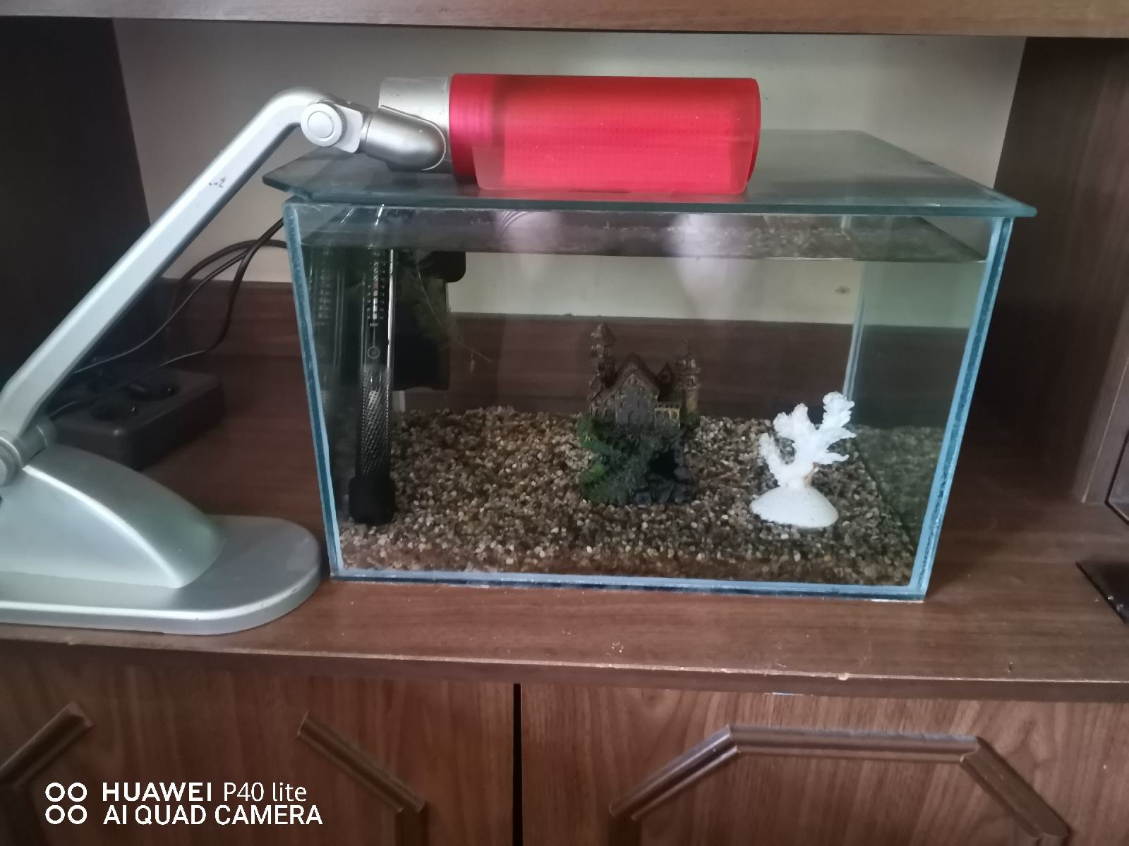 AKVARIJ PRODAJEM SA OPREMOM