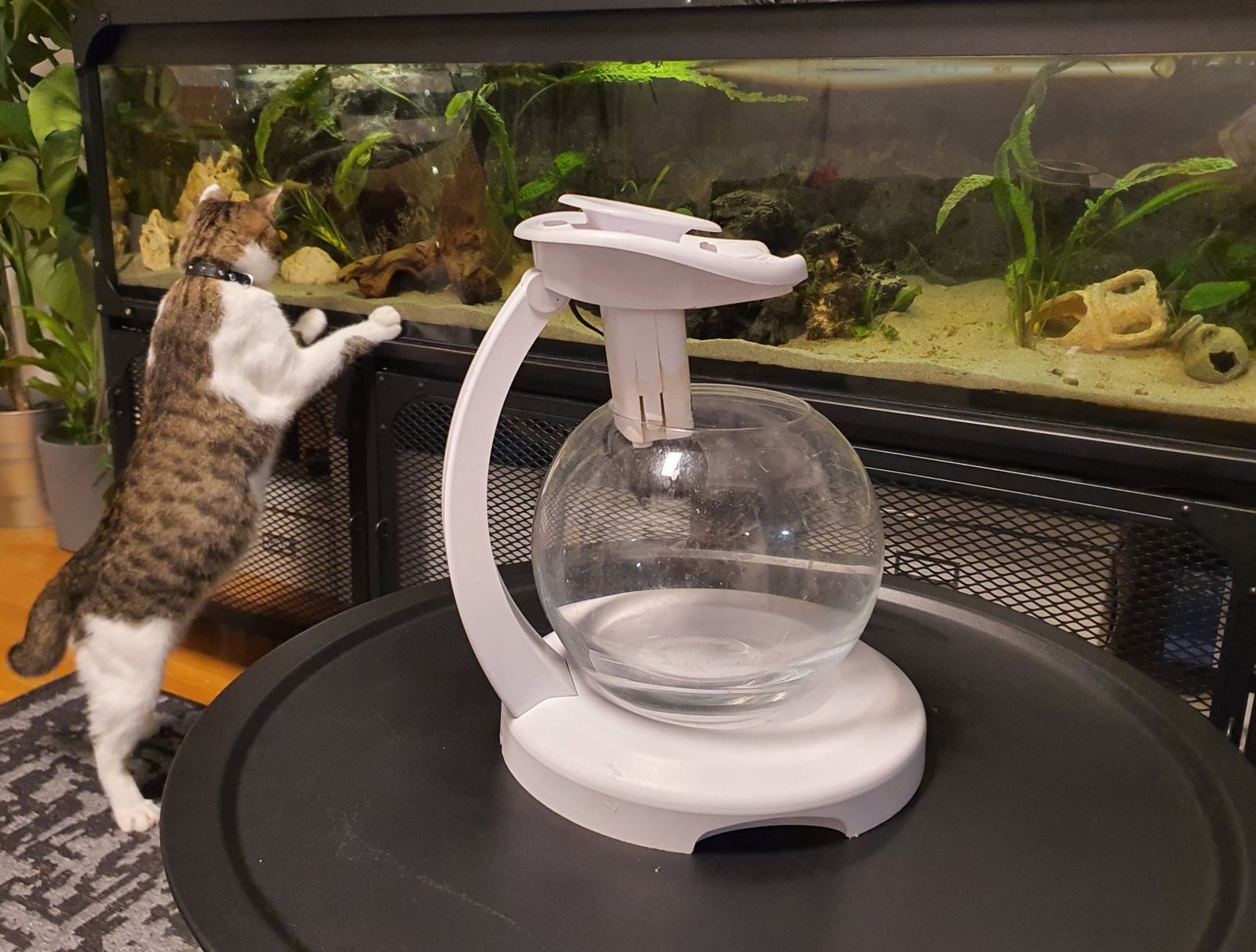 AKVARIJ SET TETRA DUO WATERFALL BIJELI