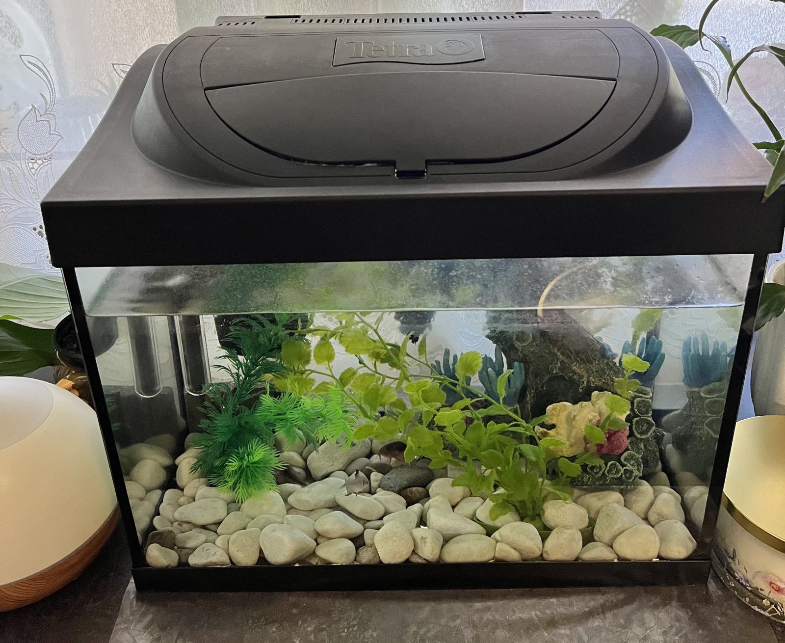 Tetra akvarij s ribicama 30L