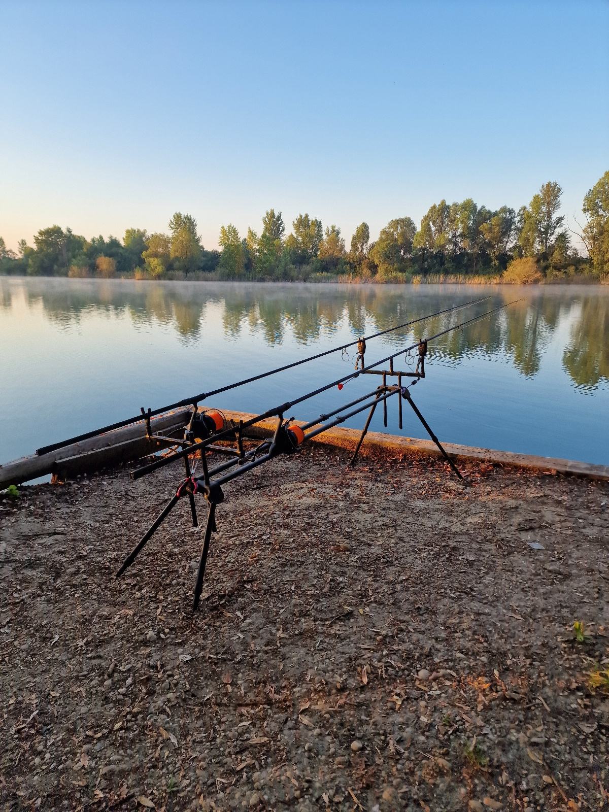 Prodajem rod pod Prologic Tri-Sky 3