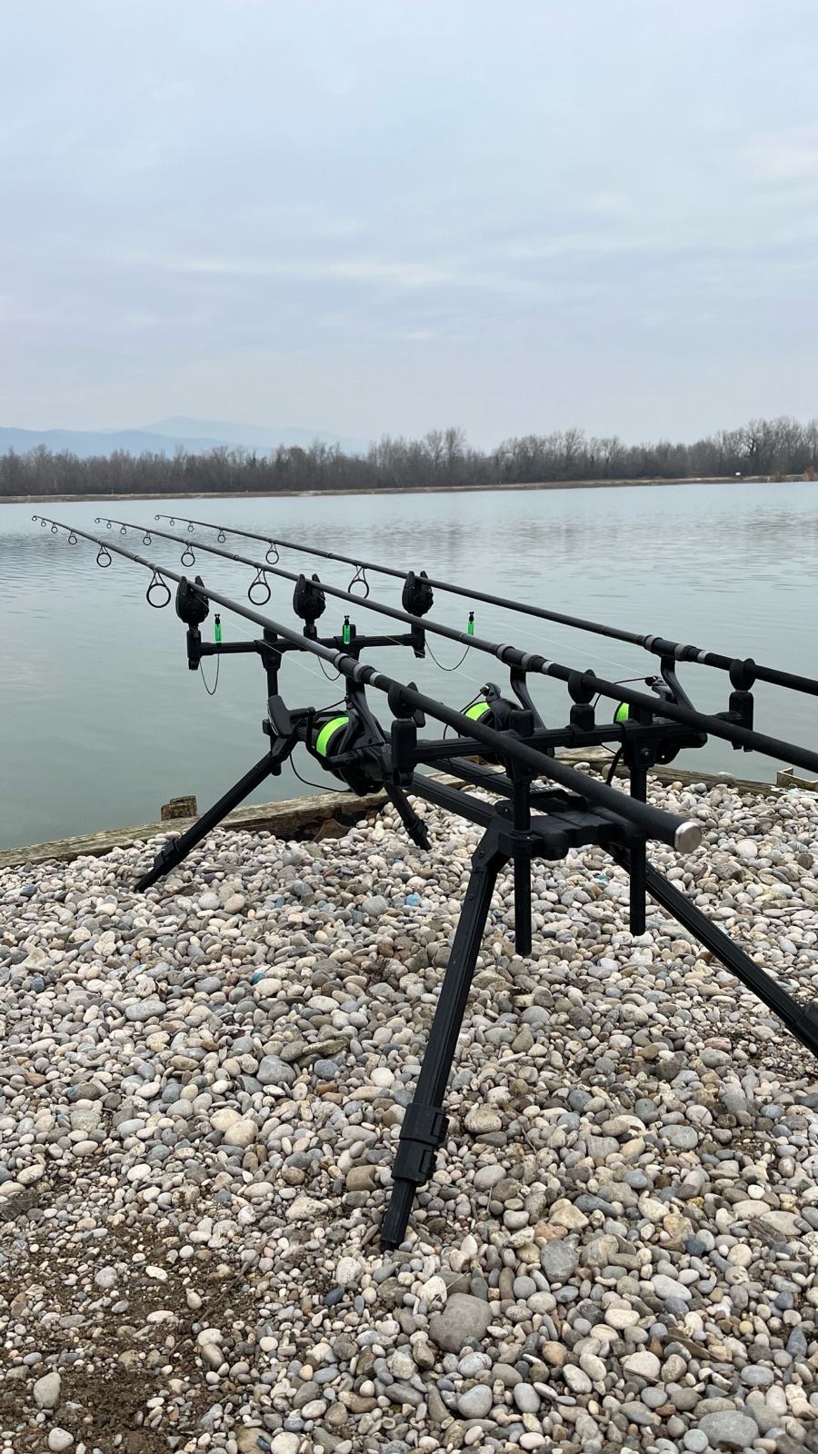 Rod pod za šaranski ribolov