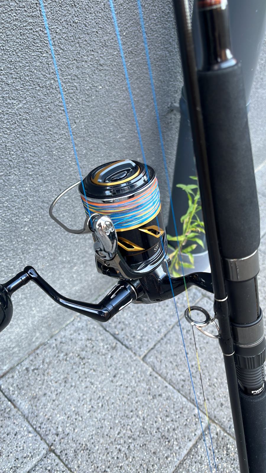 Shimano Stella sw 6000 pg