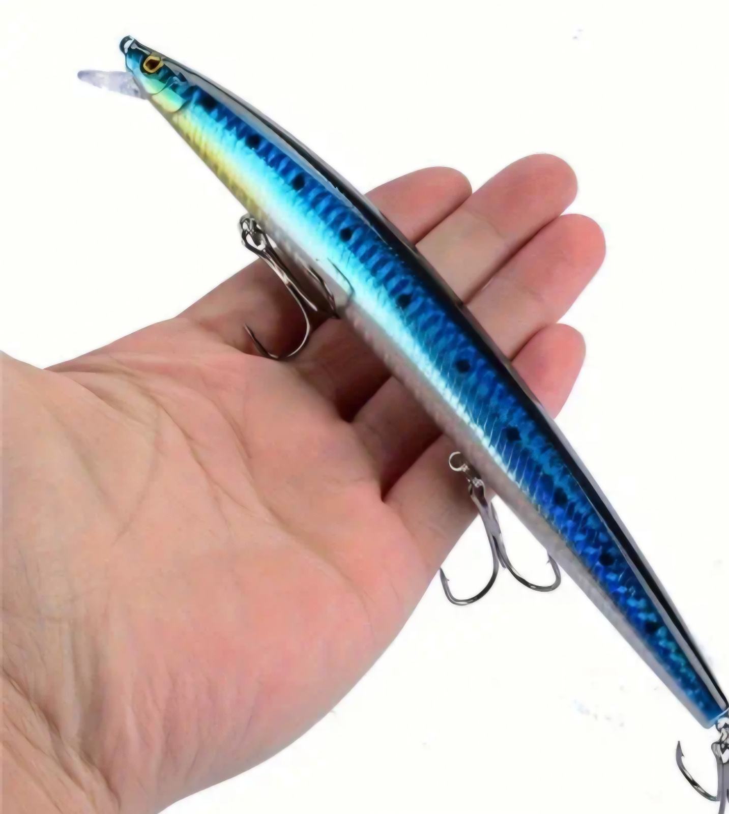 Varalica, morska 18cm