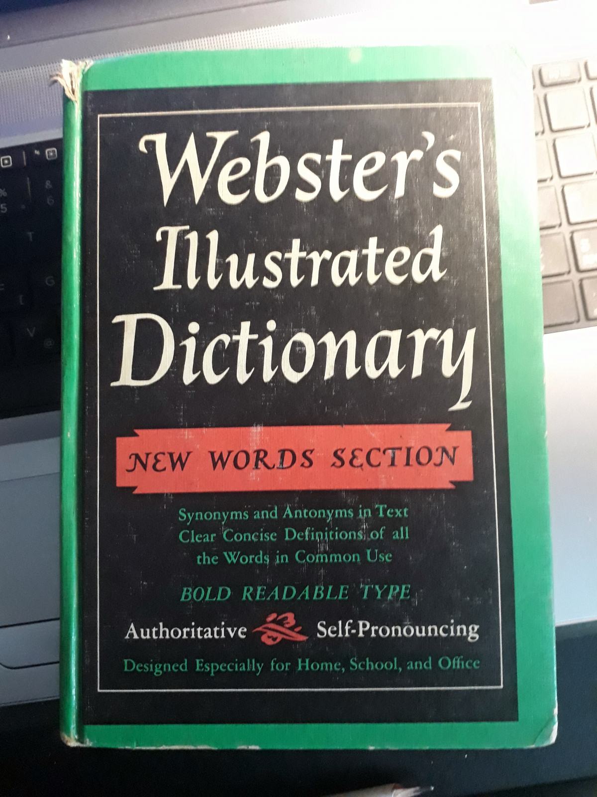 WEBSTERS ILLUSTRATED DICTIONARY