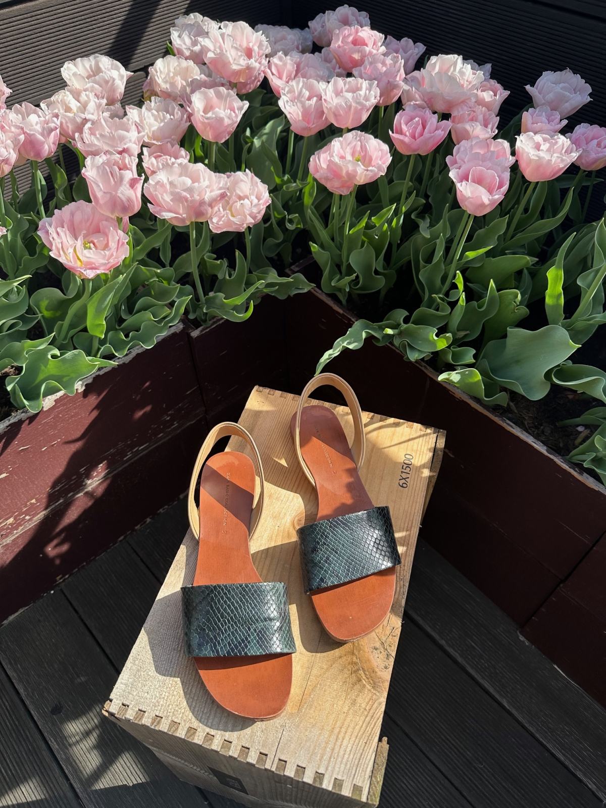 Zara Basic Collection ljetne sandale, veličina 37