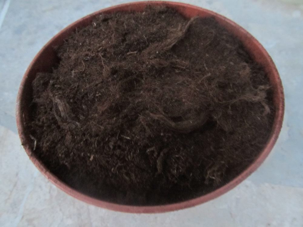 Bijeli treset (za biljke mesožderke)