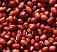 Grah Azuki 200 sjemenki...