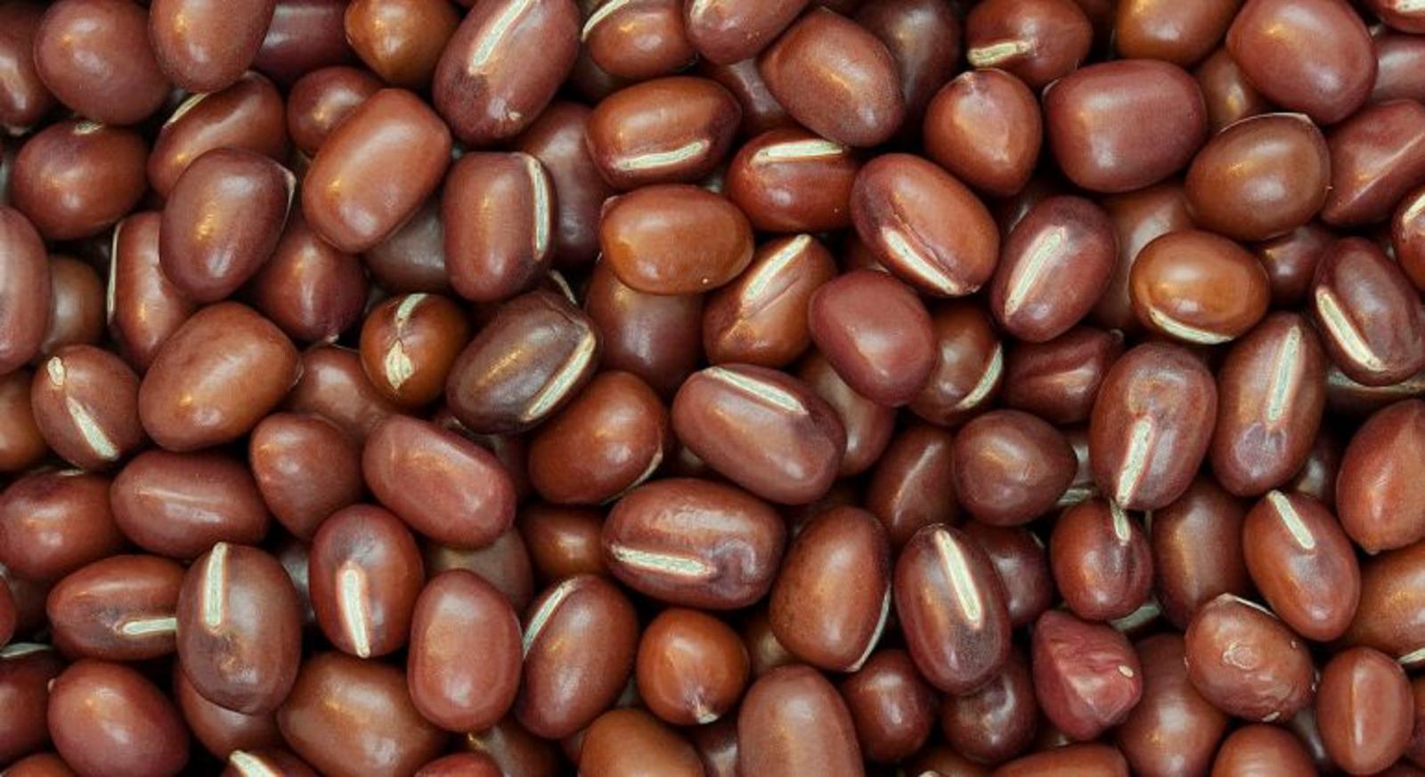 GRAH AZUKI, 60 sjemenki