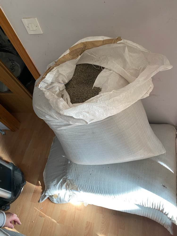 Lavanda cvijet prodajem za 30 kn/ kg.