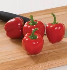 Paprika mini bell red 30 sjemenki