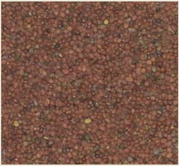 Rauola, sjeme rauole, uljana rotkva