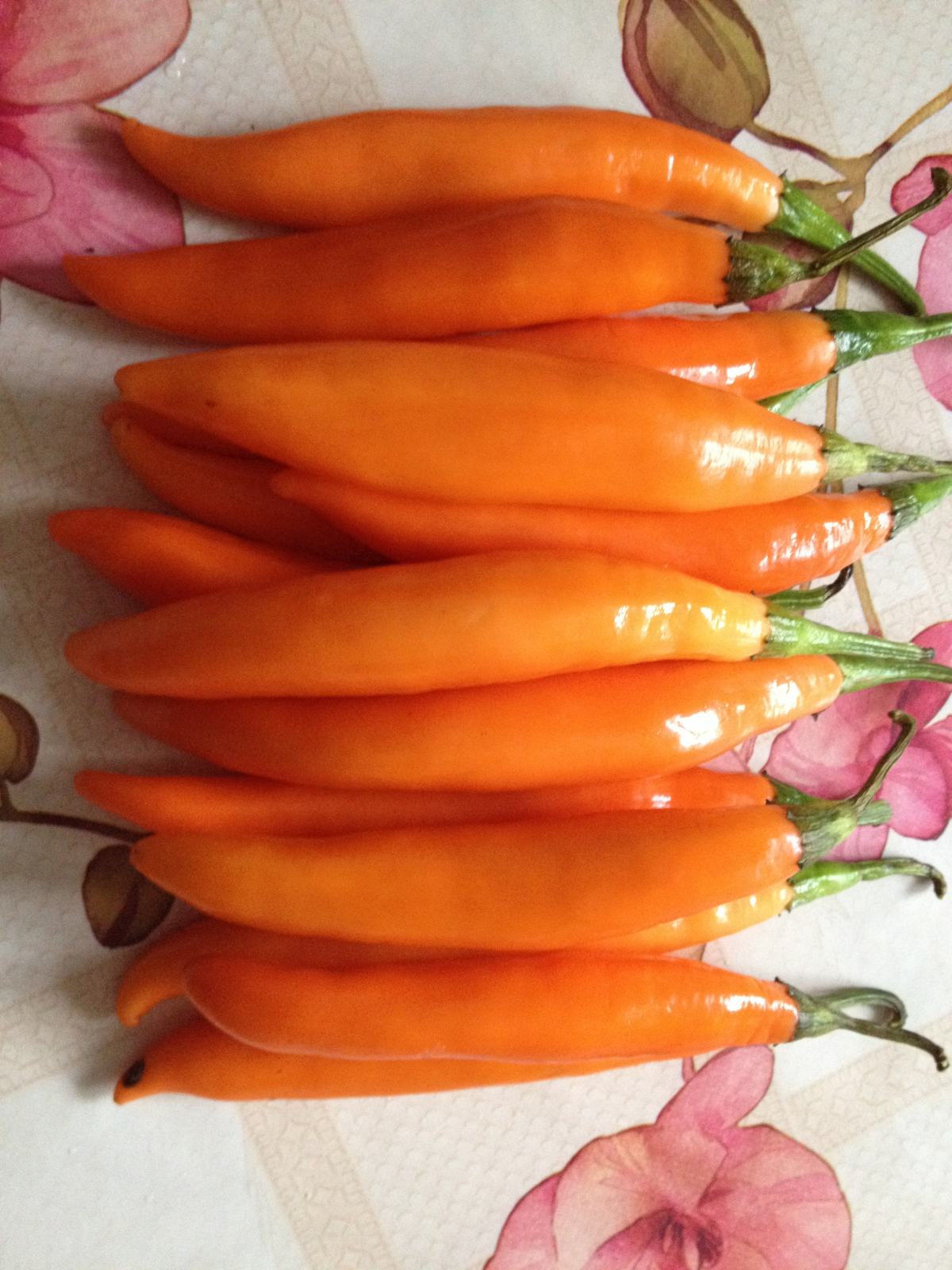 Sweet banana - narandasta slatka feferon paprika