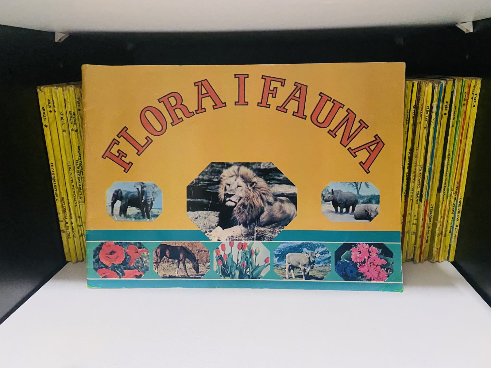 Flora i fauna ,prazan