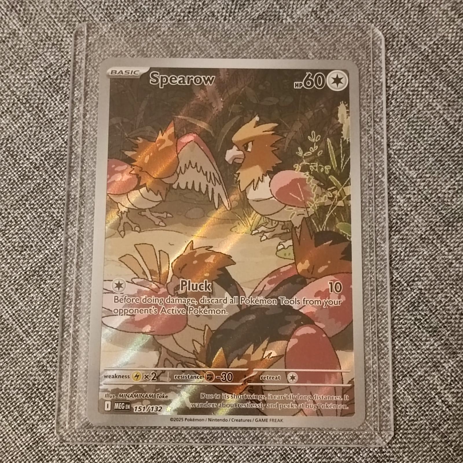 Pokemon karta: Spearow (Mega Evolution set)