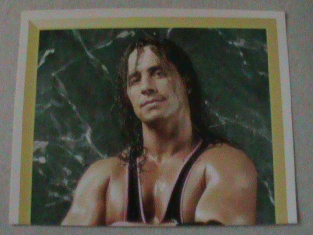 SLIČICE WWF (KEČERI) - 57 SLIČICA