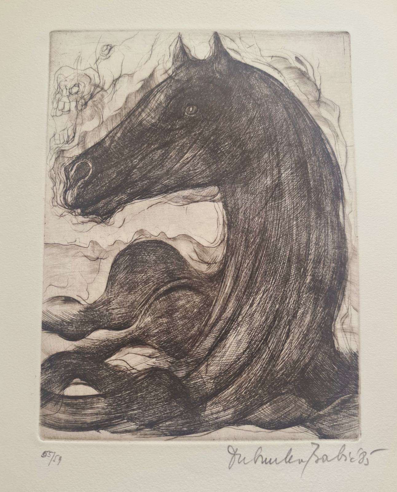 Dubravka Babić 5 suha igla 27x20cm;