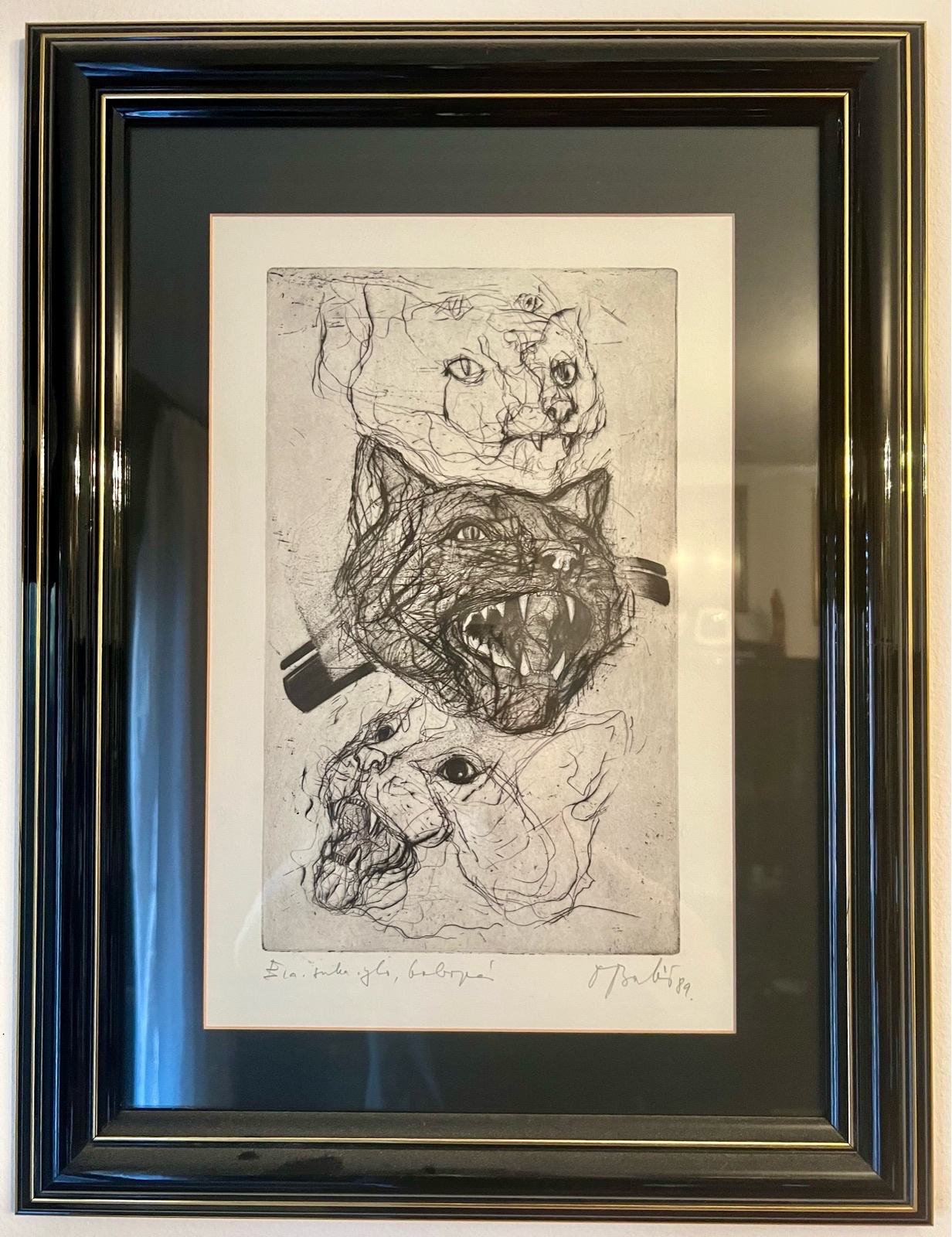 Dubravka Babić, suha igla, 30x20