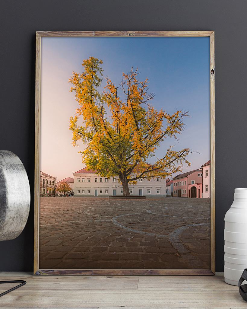 Fotografije grada Požege na platnu