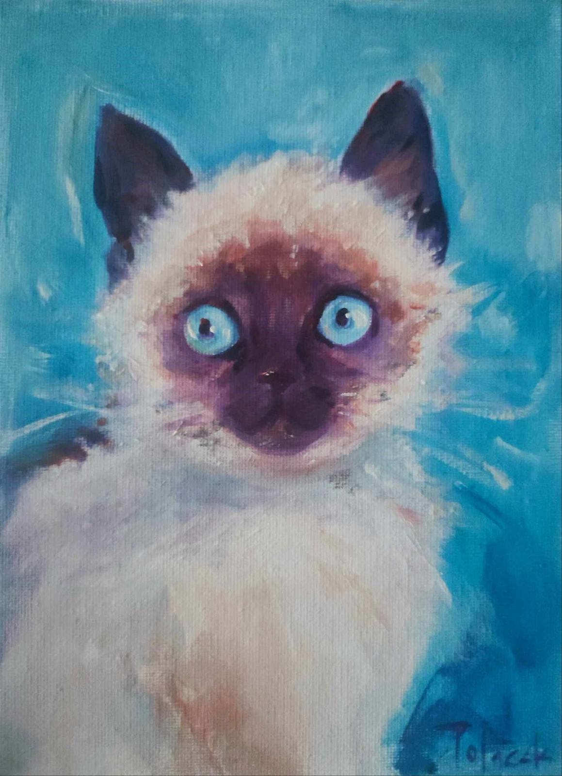 Portret sijamske mace /Beba, akril na platnu, Polaček