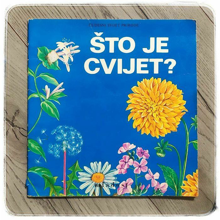Čudesni svijet prirode: Što je cvijet? Jenifer W. Day