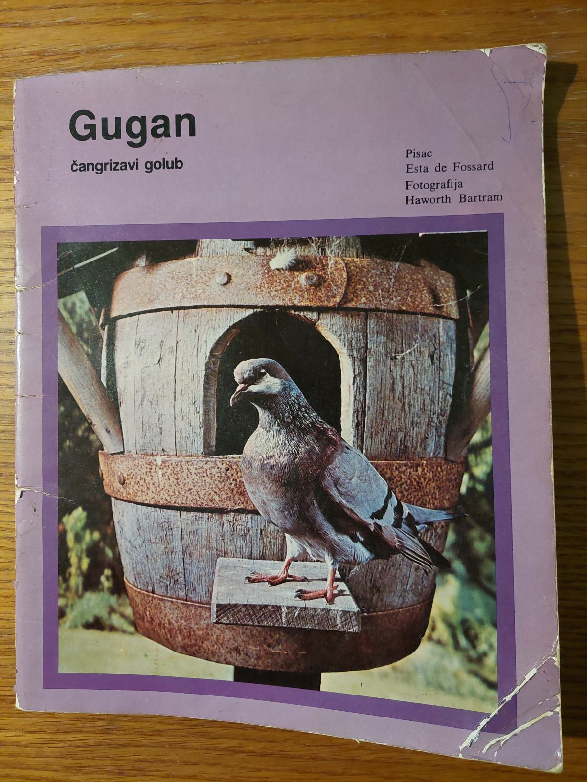 GUGAN - čangrizavi golub / Esta de FOSSARD