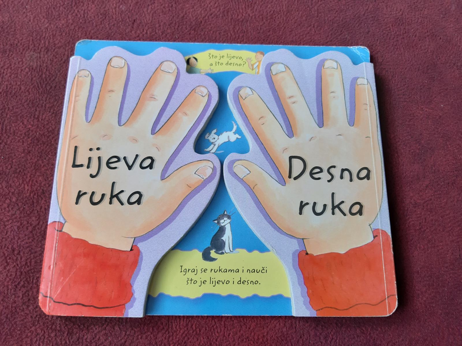 Lijeva ruka, desna ruka - Janet Allison Brown
