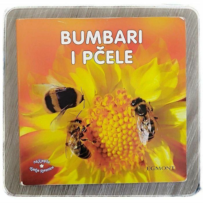 Najljepše dječje pjesmice: Bumbari i pčele Robert Mlinarec