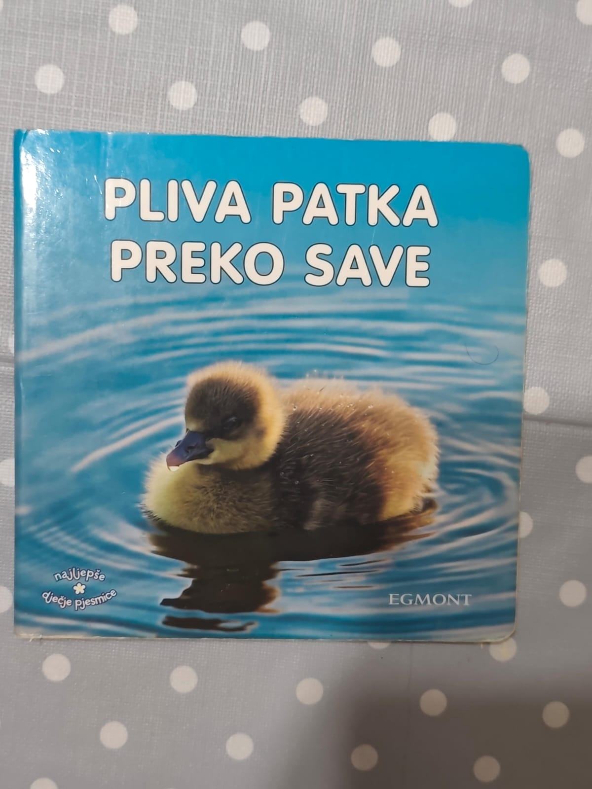 Pliva patka preko Save - kartonka