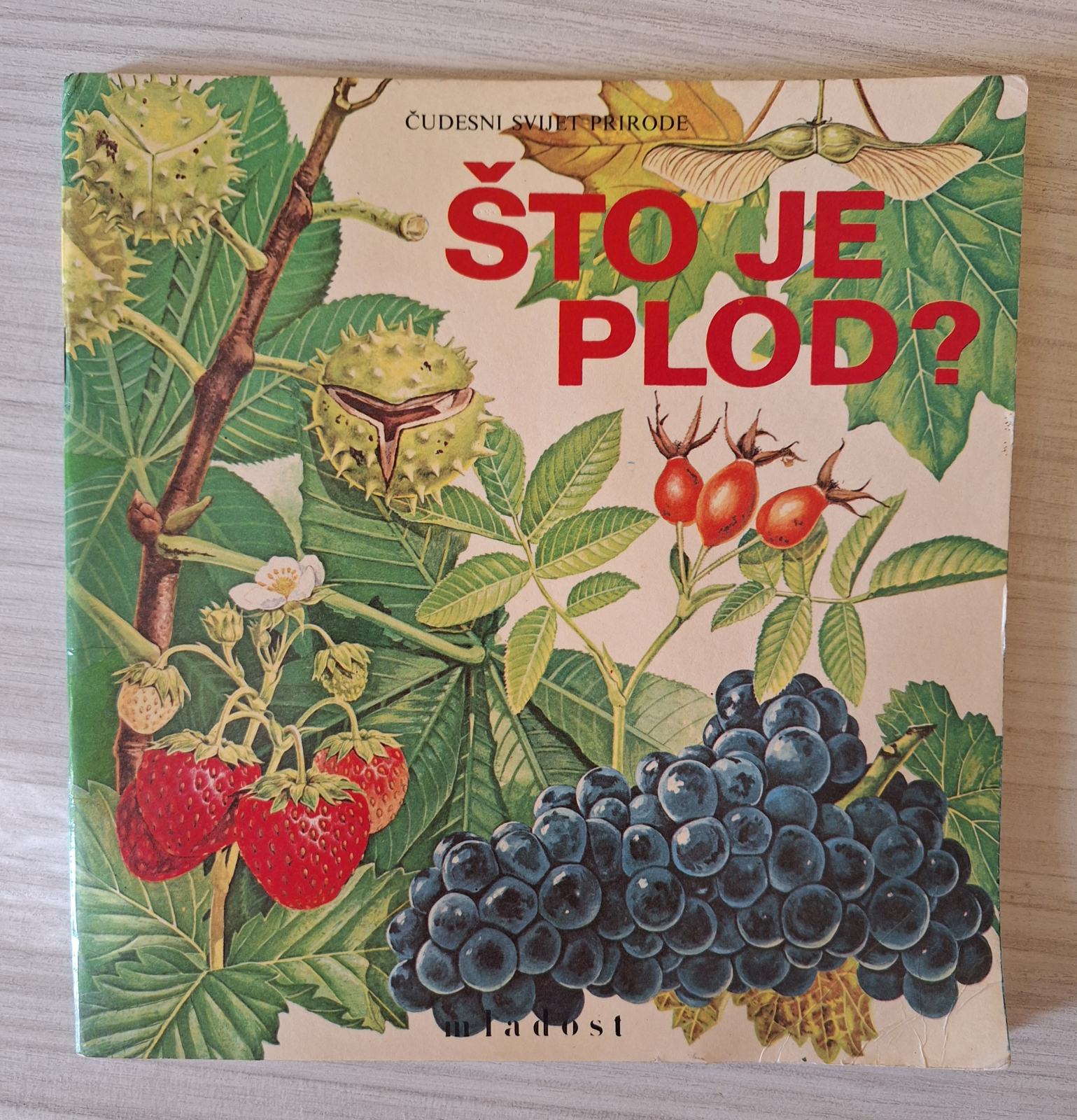 Što je plod? - Janifer W. Day - slikovnica Čudesni svijet prirode