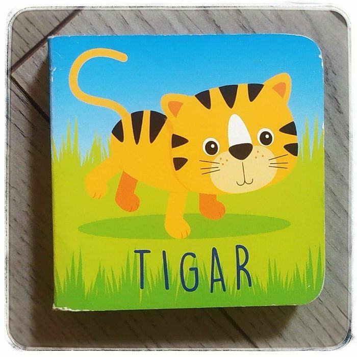 Tigar Kathy Broderick