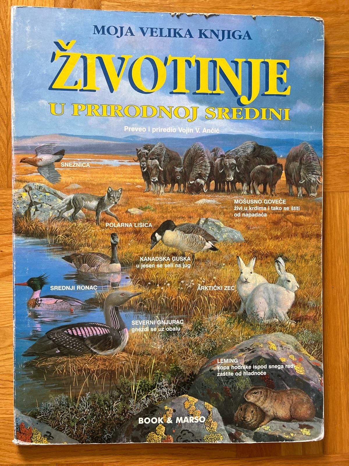 Velika,velika slikovnica