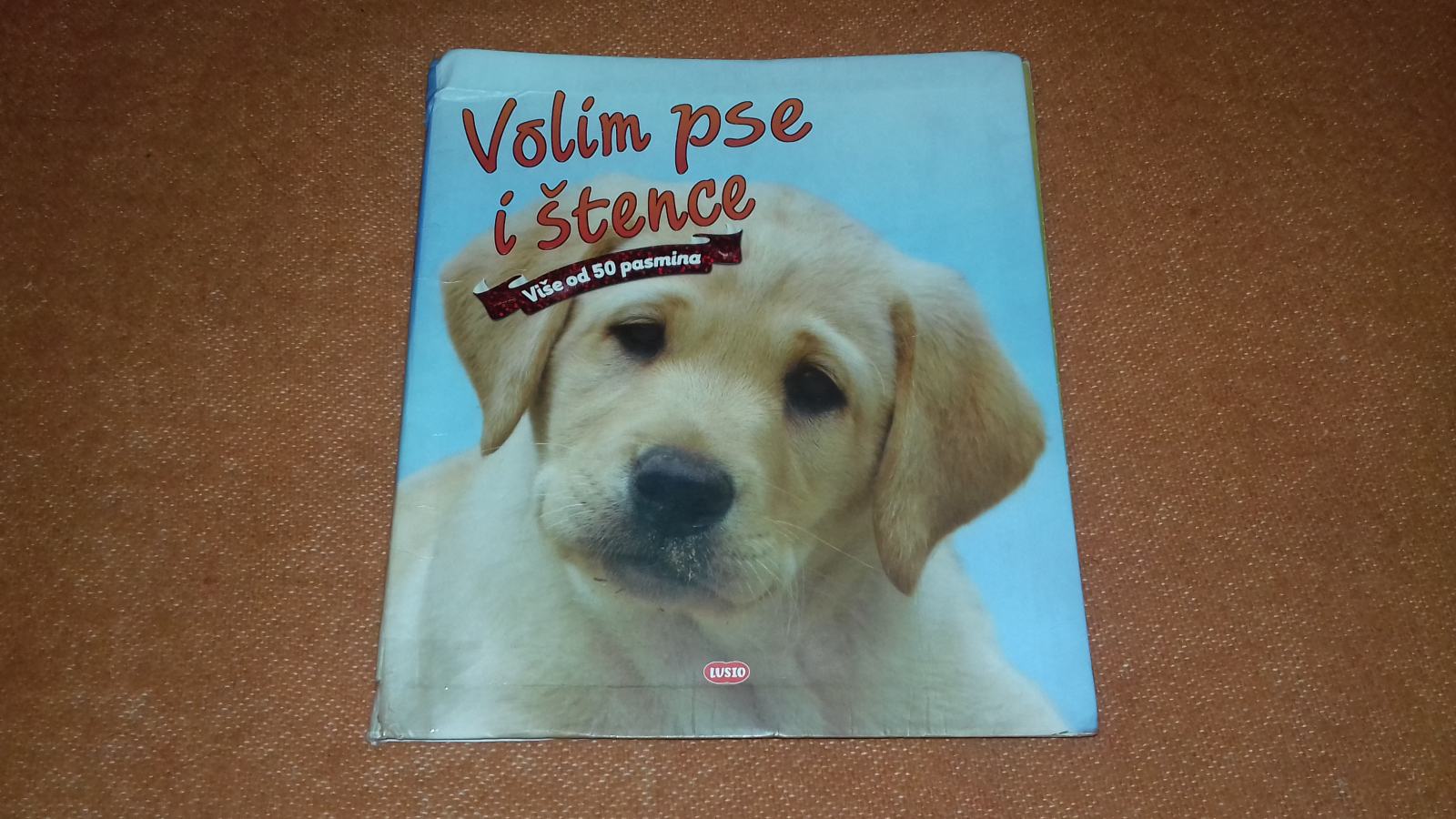 Volim pse i štence, Nicola Jane Swinney - 2014. godina