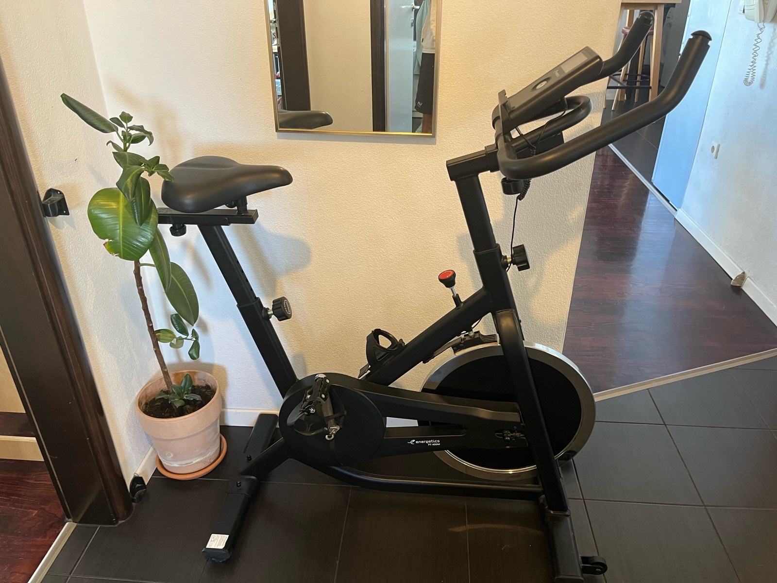 Prodaja sobni bicikl