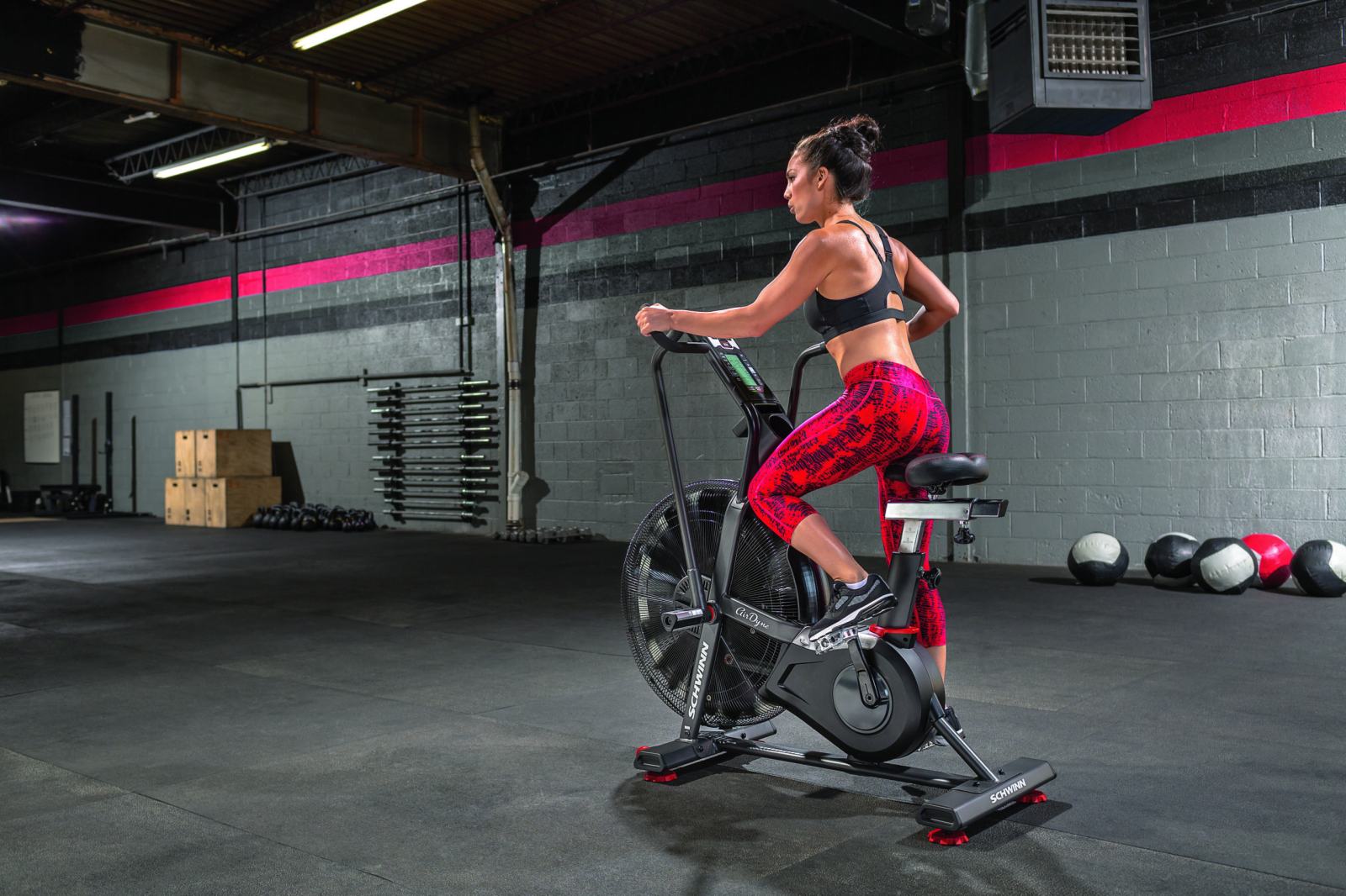 SCHWINN AIRDYNE AD8